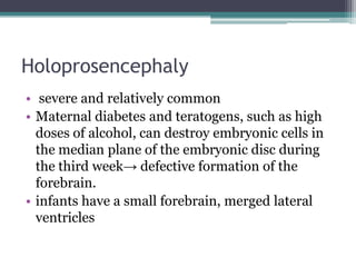 Development of forebrain by DR.ARSHAD | PPTX