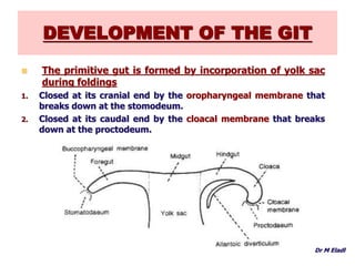 Development of foregut | PPTX