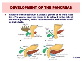 Development of foregut | PPTX