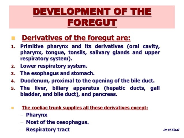 Development of foregut | PPTX