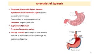Development of foregut | PPTX