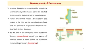 Development of foregut | PPTX | Pregnancy | Reproductive Health