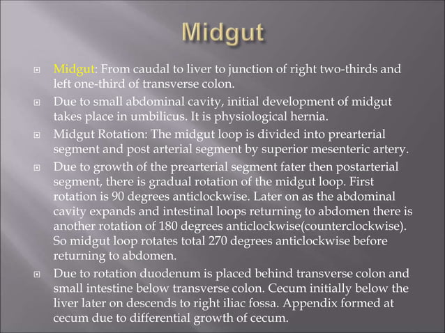 Development of FOREGUT MIDGUT AND HINDGUT.ppt
