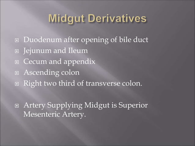Development of FOREGUT MIDGUT AND HINDGUT.ppt