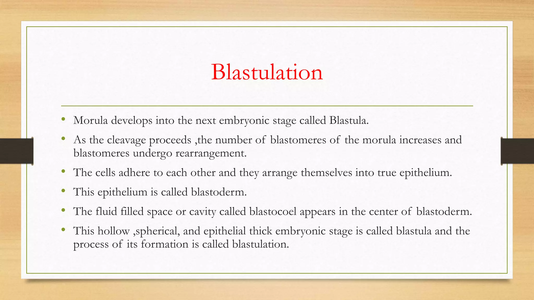 Development of frog/ embryogenesis | PPTX