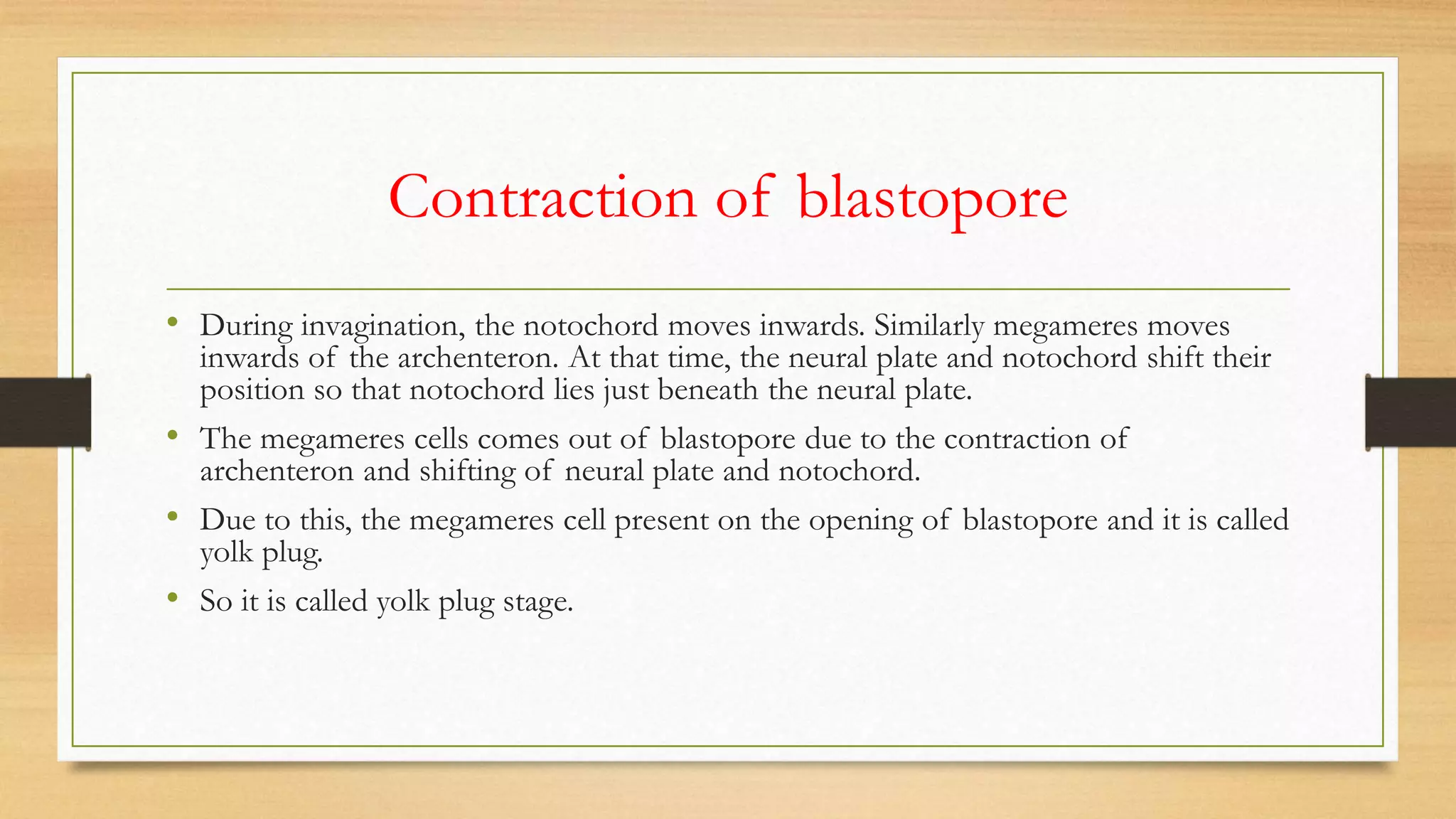 Development of frog/ embryogenesis | PPTX