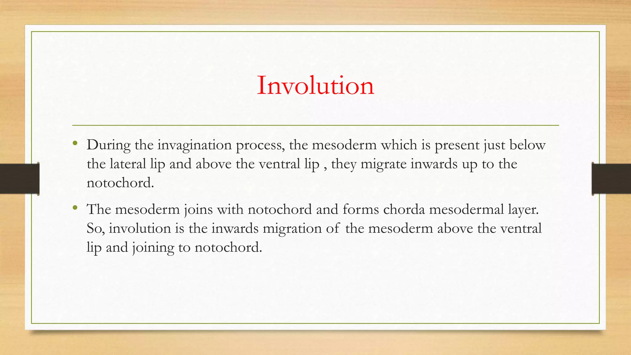 Development of frog/ embryogenesis | PPTX