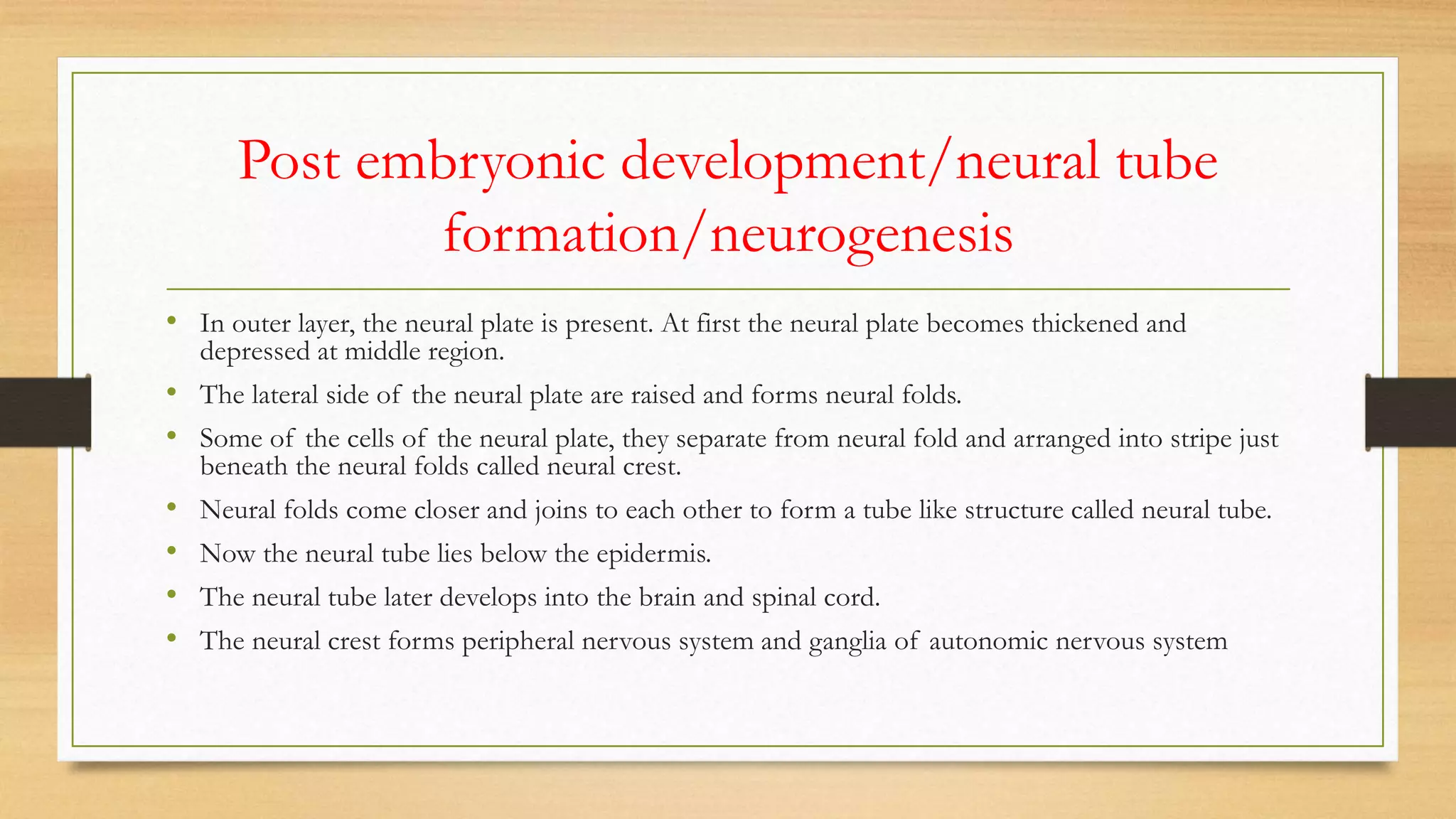 Development of frog/ embryogenesis | PPTX