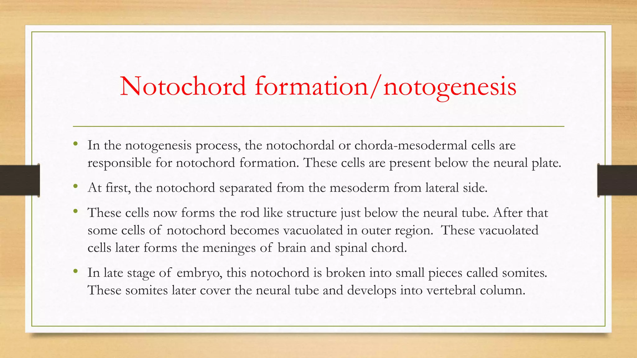Development of frog/ embryogenesis | PPTX