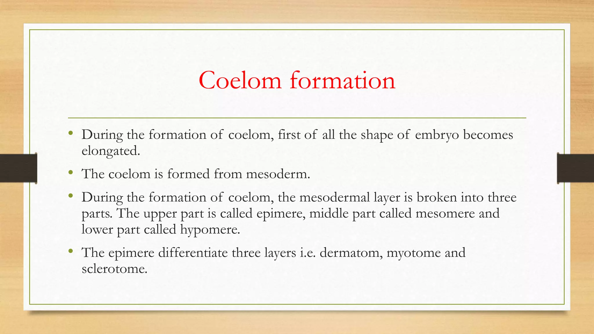 Development of frog/ embryogenesis | PPTX
