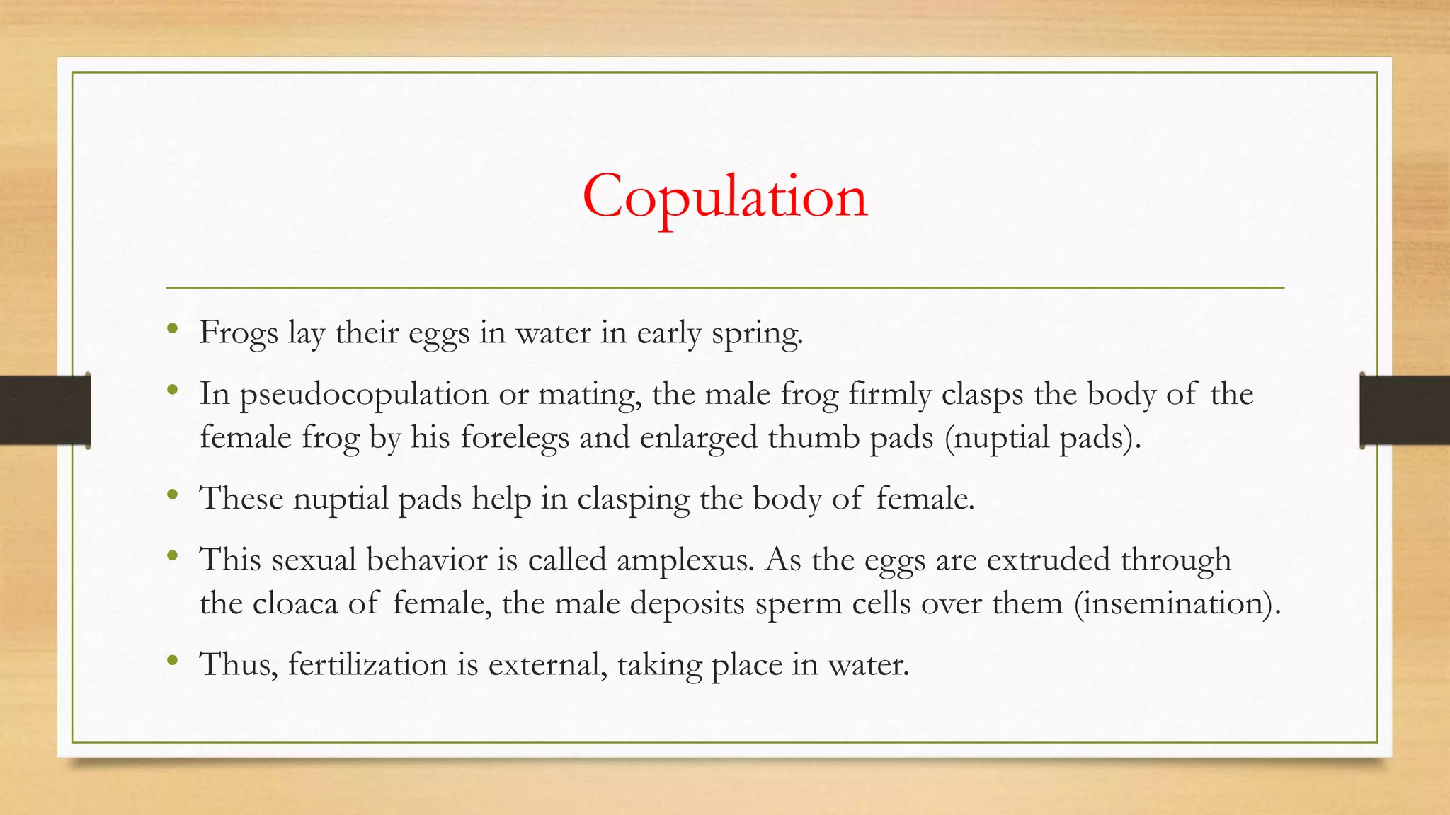 Development of frog/ embryogenesis | PPTX