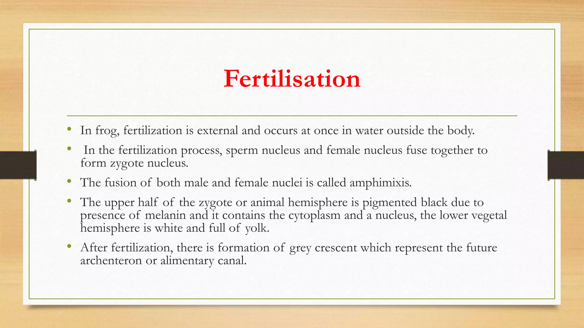 Development of frog/ embryogenesis | PPTX