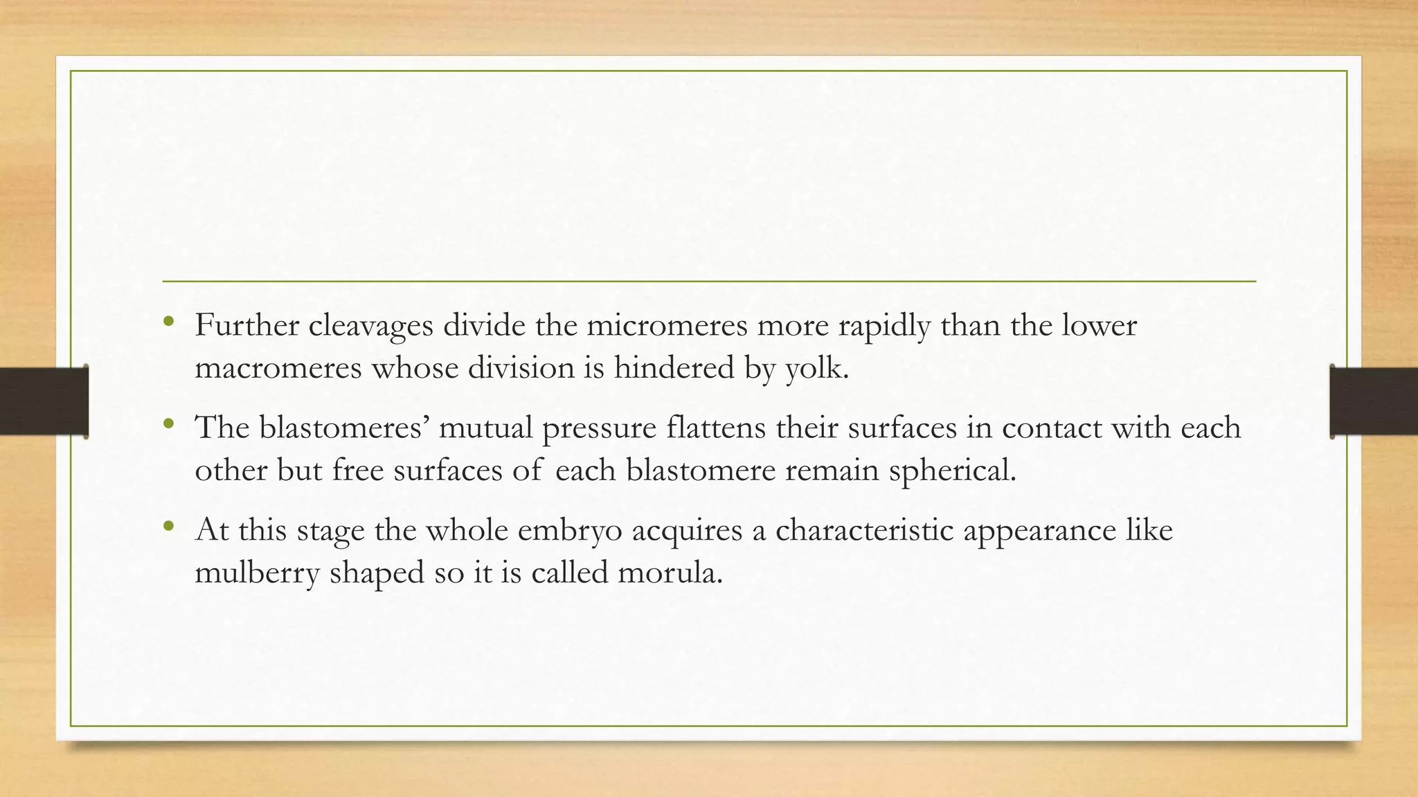 Development of frog/ embryogenesis | PPTX