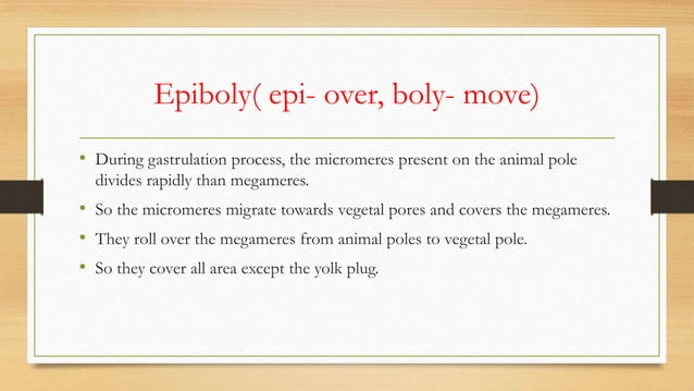 Development of frog/ embryogenesis | PPTX | Biological Sciences | Science