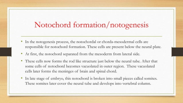 Development of frog/ embryogenesis | PPTX | Biological Sciences | Science