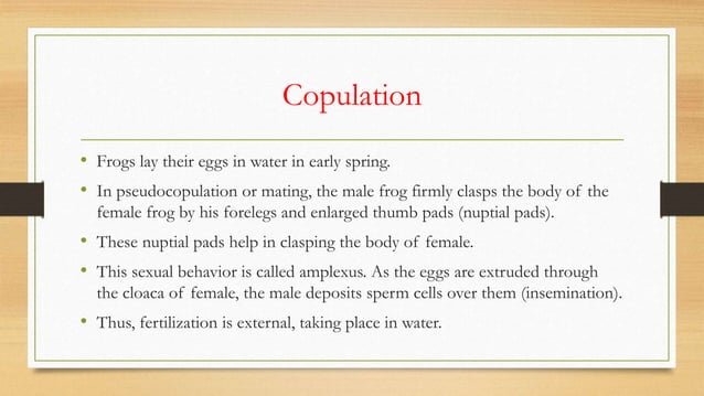 Development of frog/ embryogenesis | PPTX | Biological Sciences | Science