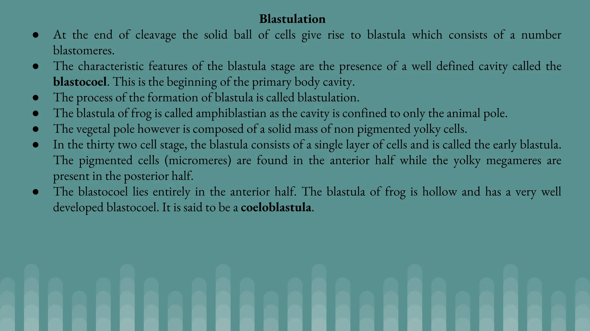 DEVELOPMENT OF FROG.pptx