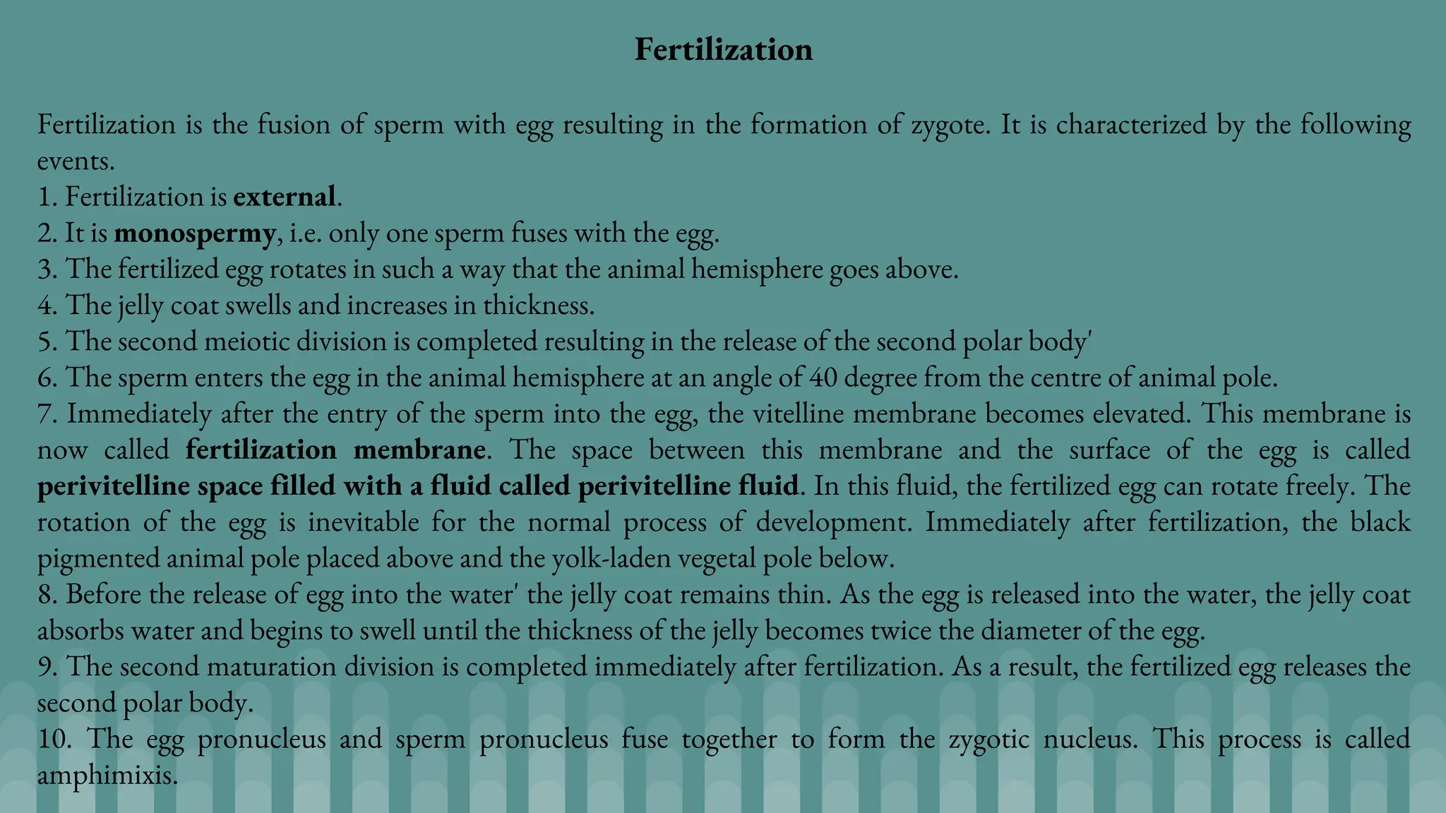 DEVELOPMENT OF FROG.pptx