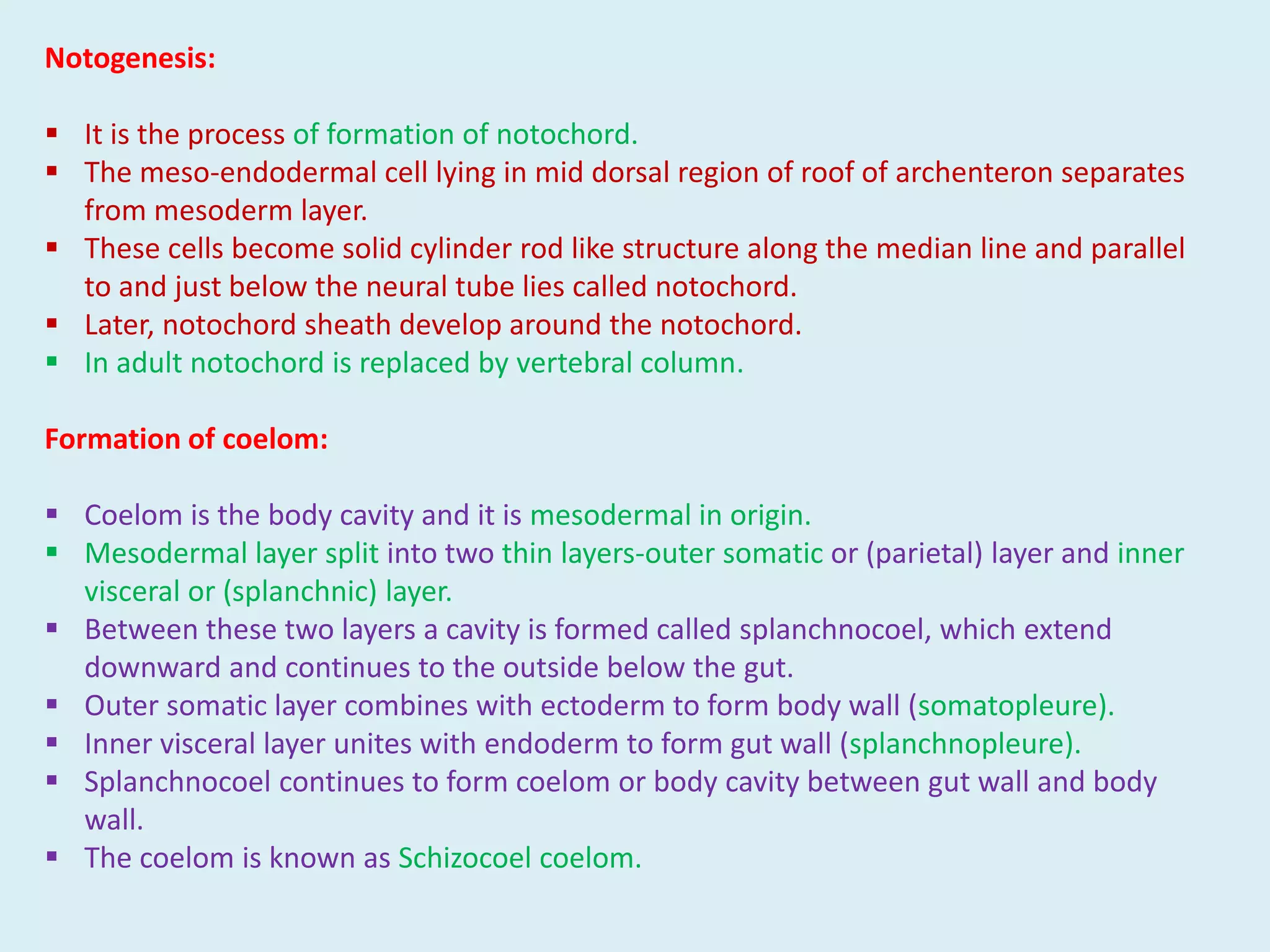 Development of frog up to formation of three germ layers, Blastula ...