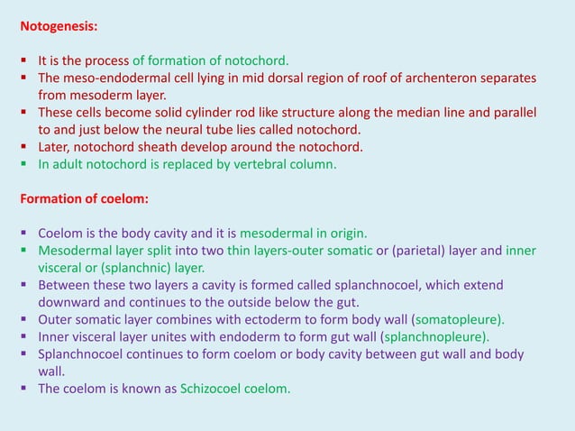 Development of frog up to formation of three germ layers, Blastula ...