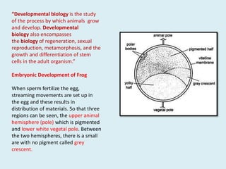 Development of frog up to formation of three germ layers, Blastula ...
