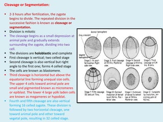 Development of frog up to formation of three germ layers, Blastula ...