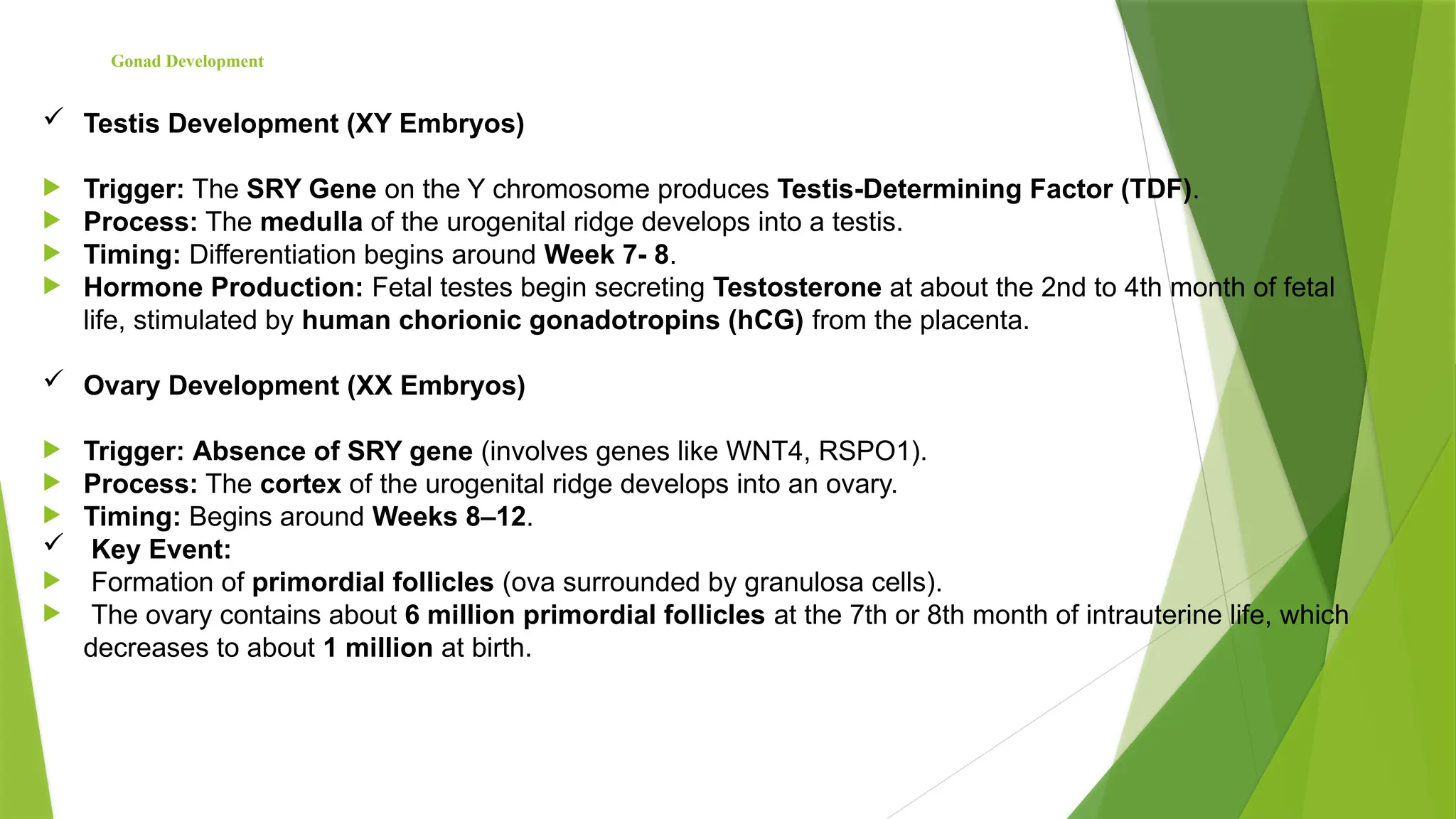 Development of Genital organs and Gonads.pptx