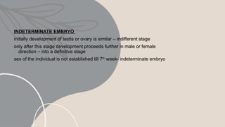 DEVELOPMENT OF GENITAL TRACT – 1 SLIDES(1) (1).pptx