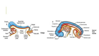 Development of GIT | PPTX