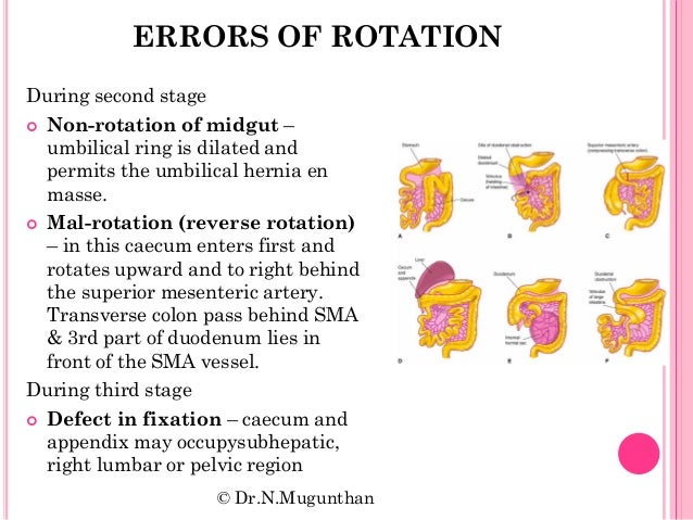 Development of Gastrointestinal system & its associated development…