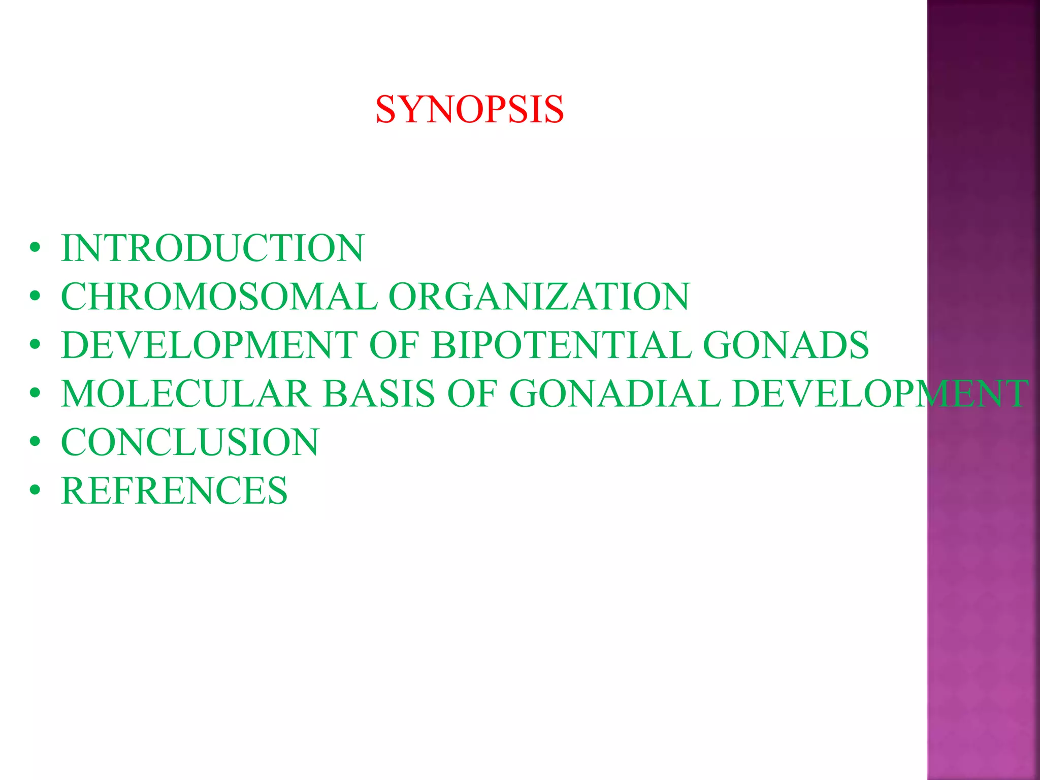 Development of gonads | PPTX