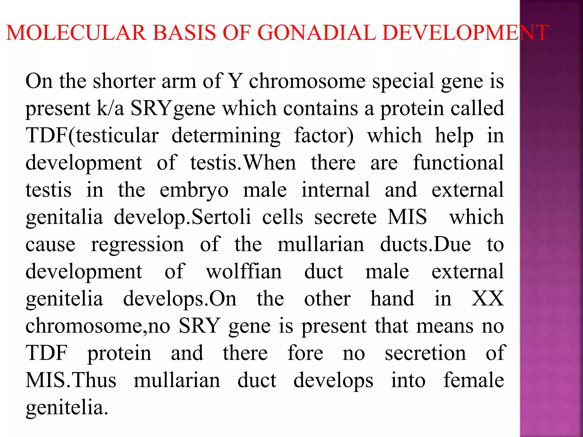 Development of gonads | PPTX