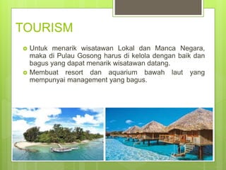 DEVELOPMENT OF GOSONG ISLAND.pptx