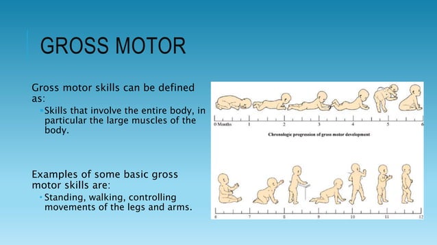 Fine and Gross Motor Development | PPTX