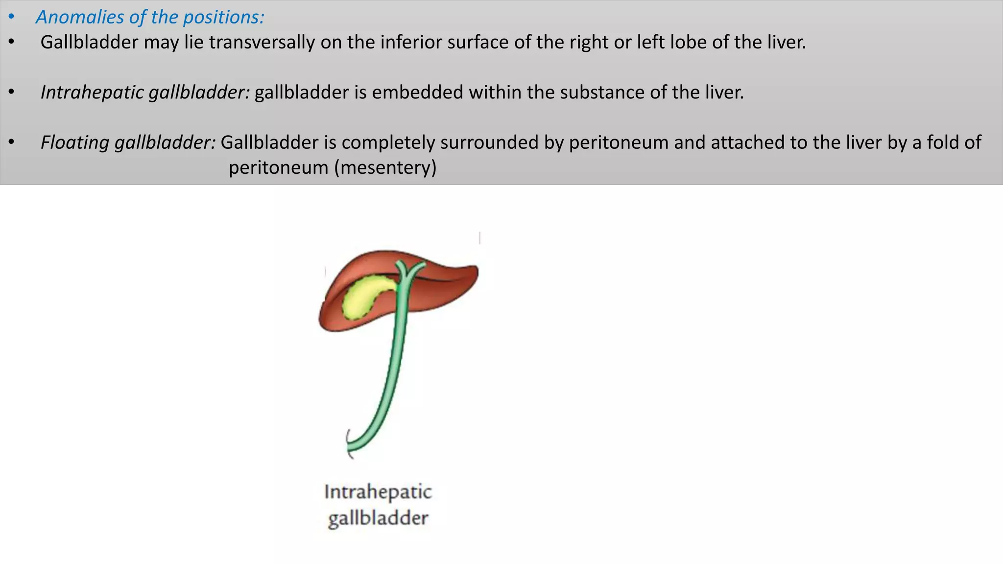 Development of Hepatobiliary System | PPTX