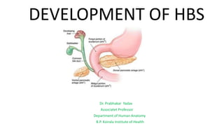 Development of Hepatobiliary System | PPTX