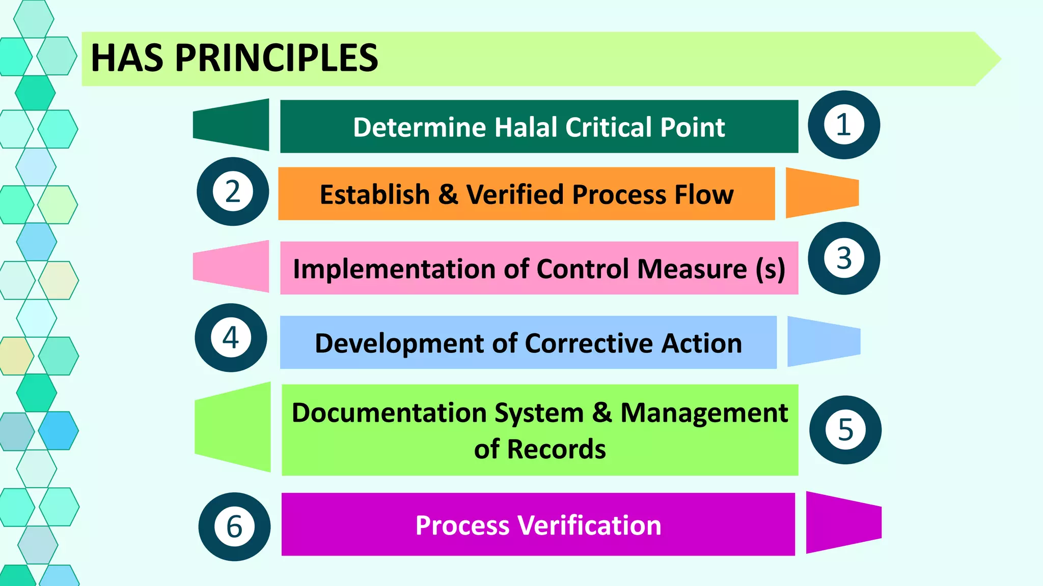 Development of HCP Risk Management Plan | PDF