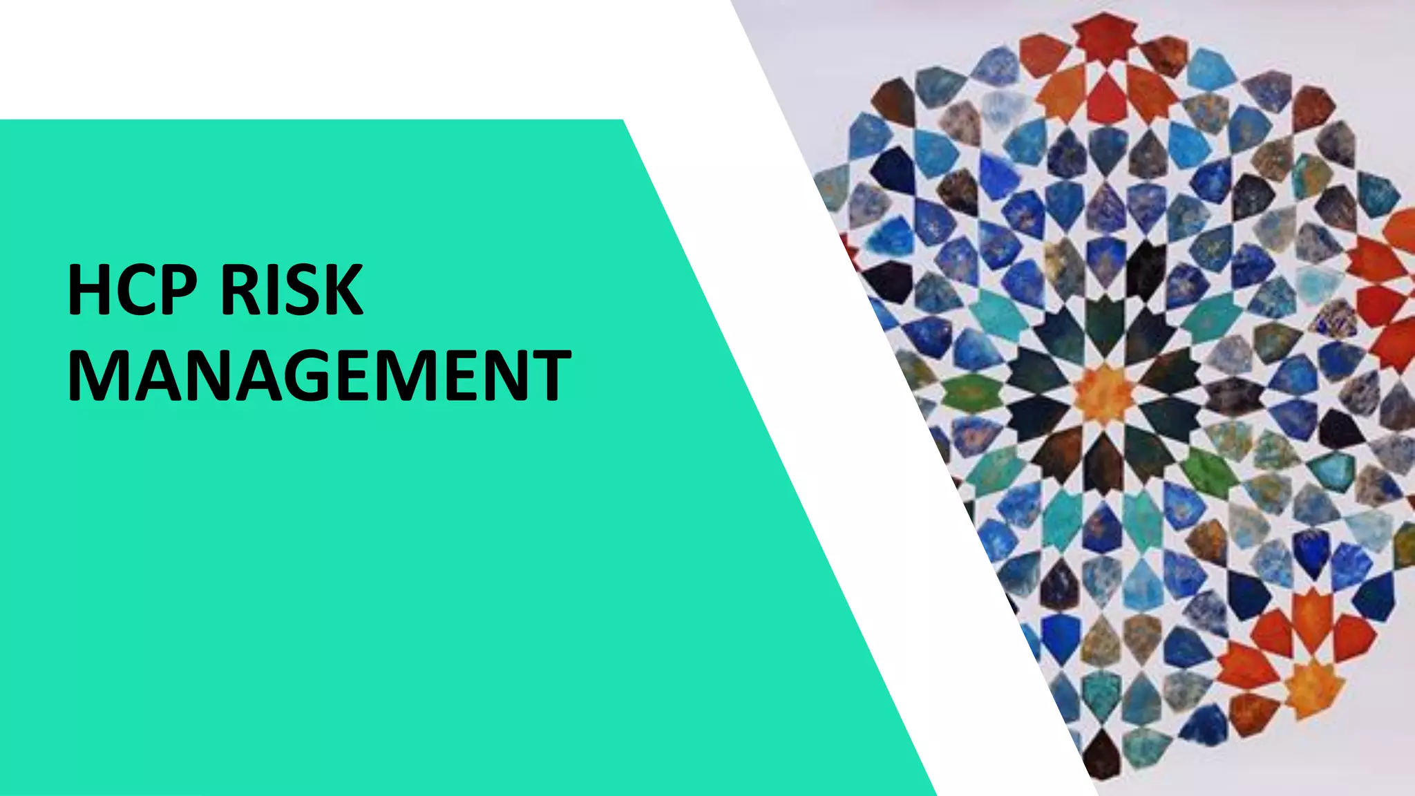 Development of HCP Risk Management Plan | PDF