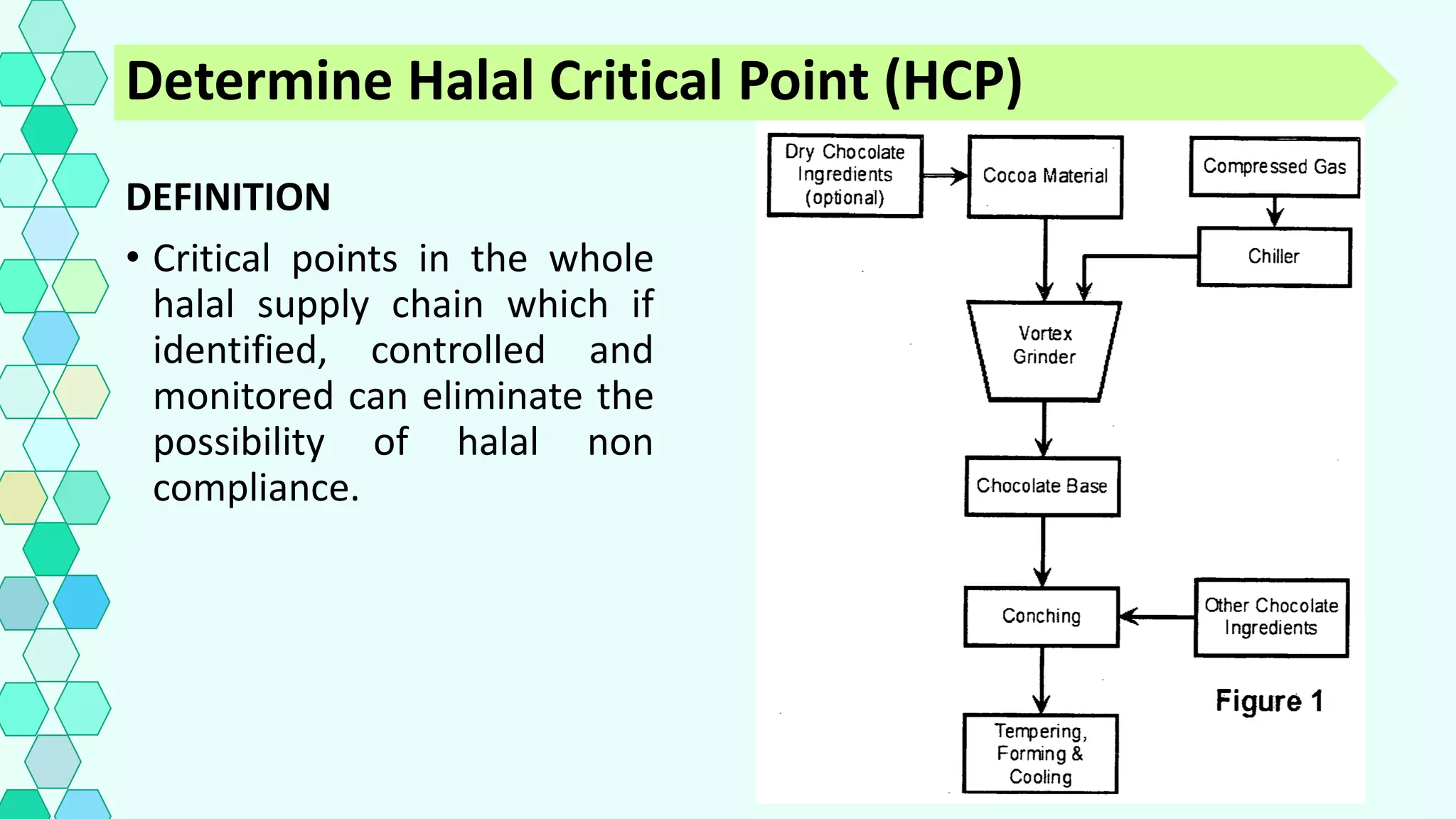 Development of HCP Risk Management Plan | PDF