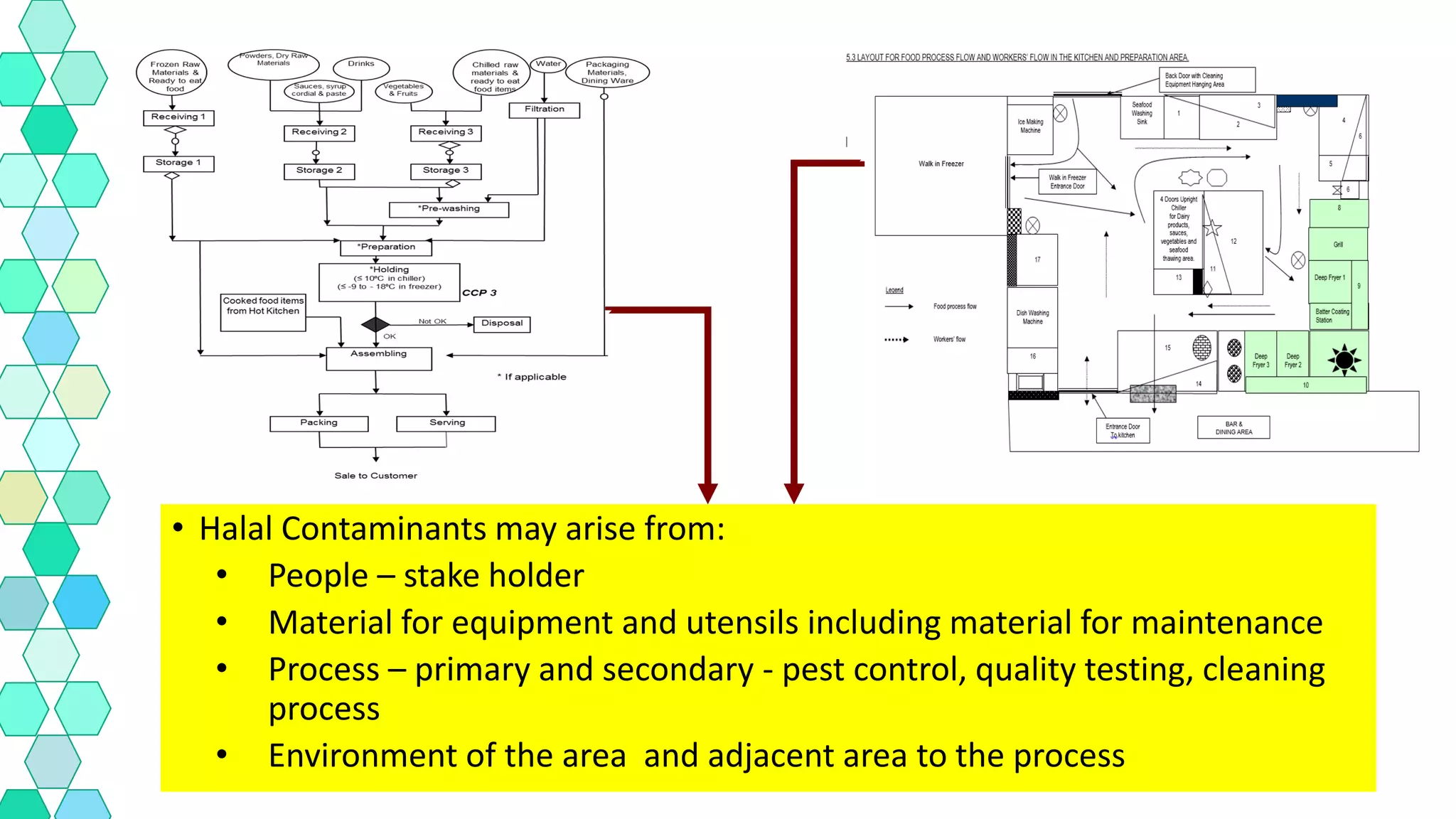 Development of HCP Risk Management Plan | PDF