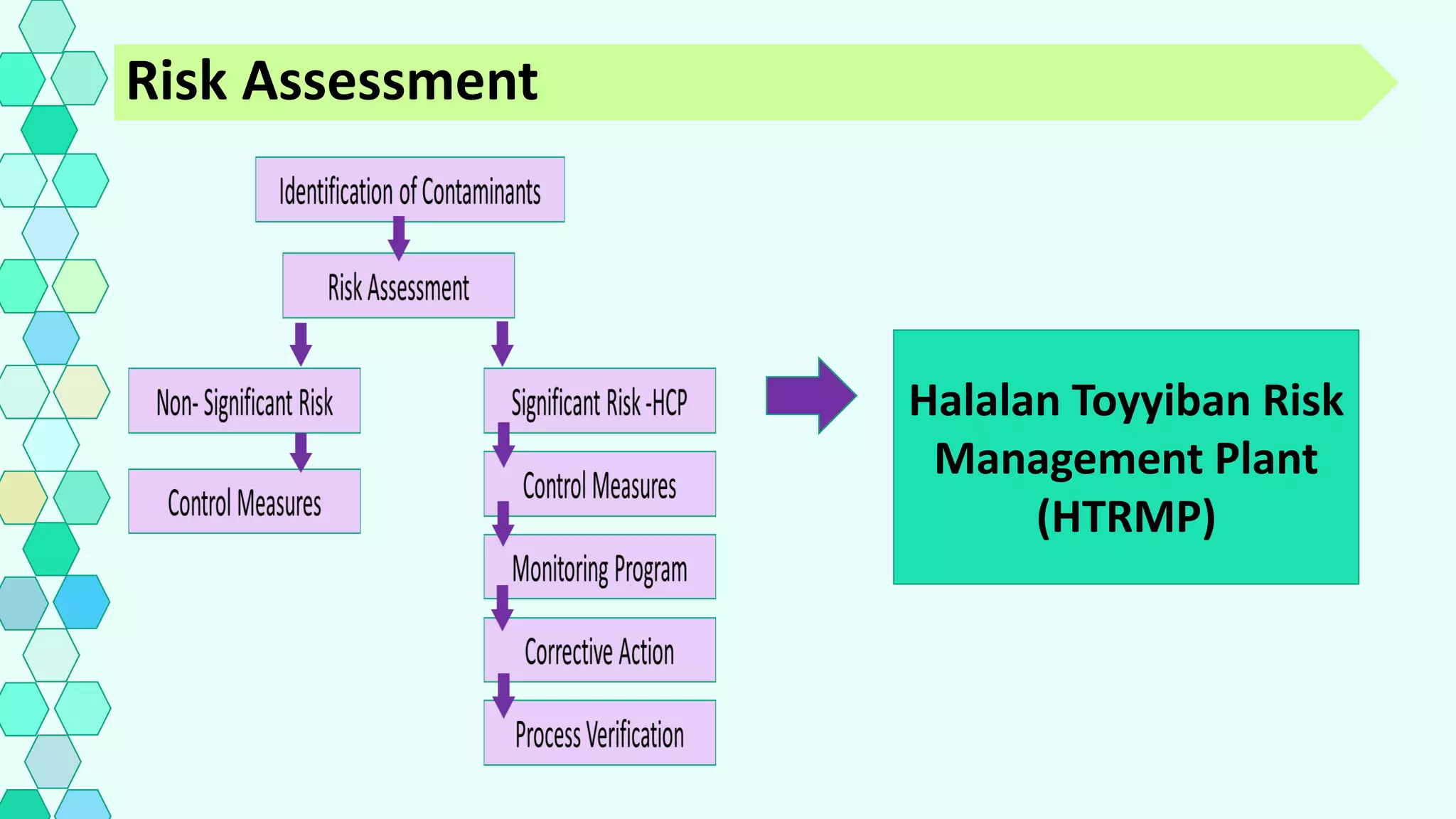 Development of HCP Risk Management Plan | PDF
