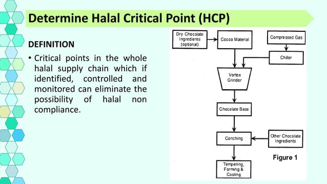 Development of HCP Risk Management Plan | PDF