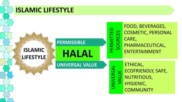 Development of HCP Risk Management Plan | PDF