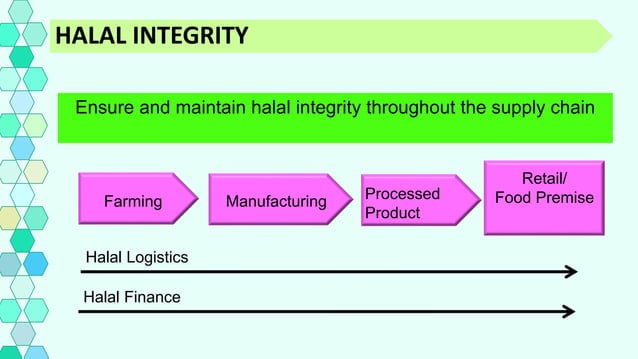 Development of HCP Risk Management Plan | PDF
