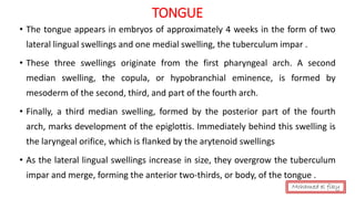 Development of head and neck | PDF