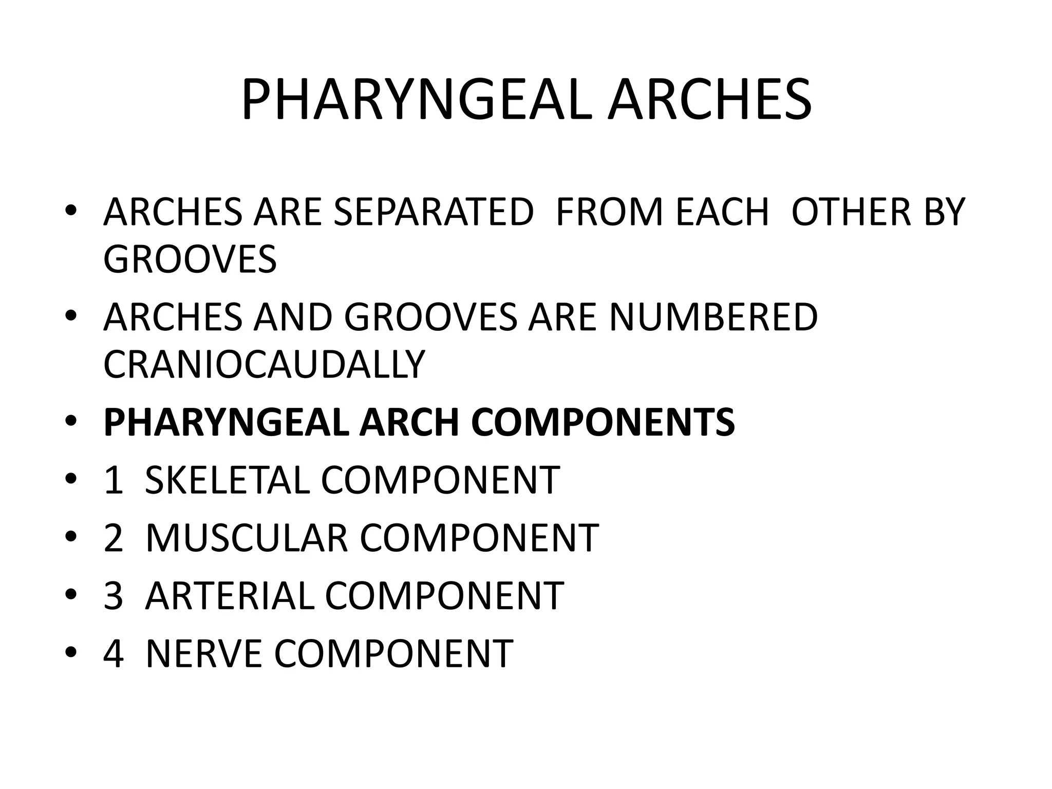 Development of head and neck editted | PPTX