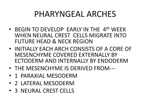 Development of head and neck editted | PPTX | Ear, Nose and Throat ...
