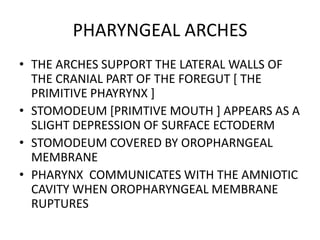 Development of head and neck editted | PPTX
