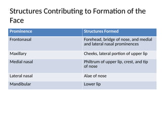 Development of Head and neck region.pptx