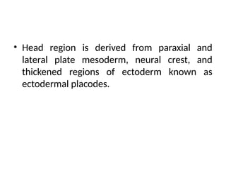 Development of Head and neck region.pptx